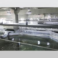 China TPAF01 Automatic Fish Feeder for Aquaculture in Recirculating Pool Water System for sale