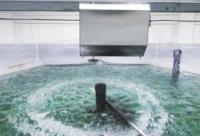 China TPAF01 Automatic Fish Feeder for Aquaculture in Recirculating Pool Water System for sale