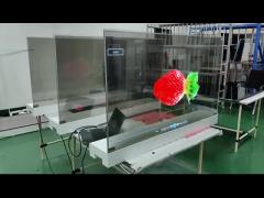 OEM ODM Transparent OLED Screen, 55 Transparent OLED Display