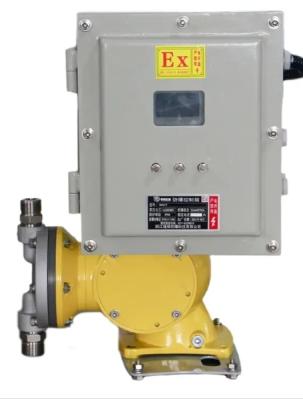 China Digital Plunger / Hydraulic Diaphragm Metering Pump for sale