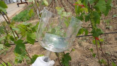 China Handle Crystal Singing bowls for sale