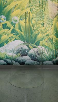 China Original Transparent Crystal Singing Bowls for Sound Bath 6-8 inch Wholesale Made in China for sale