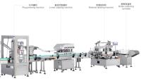 China 6 Head Double Sides Labeling Machinery SS304 Automatic Screw Capping Machine for sale