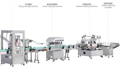 Cina 6 doppi lati capi che identificano macchinario SS304 tappatrice automatica della vite in vendita