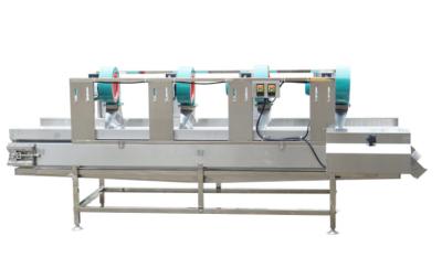 Cina Il macchinario di trasformazione dei prodotti alimentari SS304, 500kg/h asciuga all'aria il Fruit machine in vendita