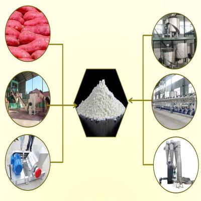 China High Quality Sweet Potato Starch Processing machine for sale
