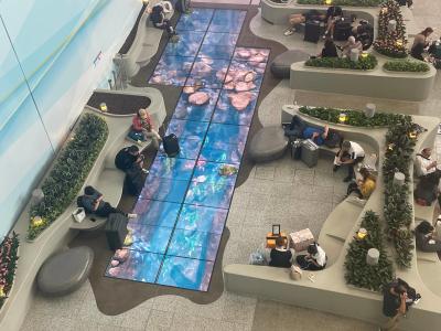 China Lionled GOB P1.25 Indoor Floor Led Display met gegoten aluminiumpaneel Te koop