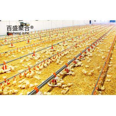 Cina Multipiano grande scala Chicken Coop Shed Farm House magazzino con finestra in lega di alluminio in vendita