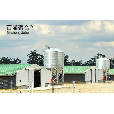 Cina Multipiano grande scala Chicken Coop Shed Farm House magazzino con finestra in lega di alluminio in vendita