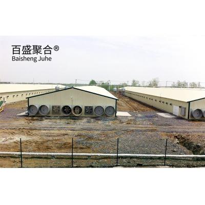 Cina Multipiano grande scala Chicken Coop Shed Farm House magazzino con finestra in lega di alluminio in vendita