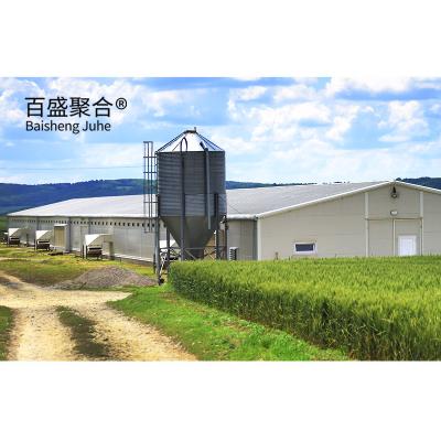 Cina Case di fattoria prefabbricate per maiali pesanti con grande magazzino e progettazione di attrezzature per la macelleria in vendita
