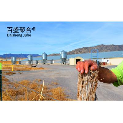 Cina Strutture di allevamenti di suini in acciaio Progettazione edilizia Prefabbricato in acciaio Pollame Casa suini in vendita
