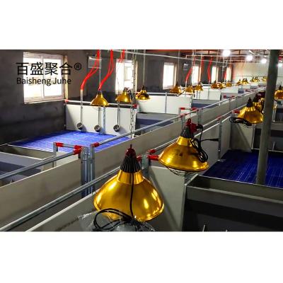Cina Strutture di allevamenti di suini in acciaio Progettazione edilizia Prefabbricato in acciaio Pollame Casa suini in vendita