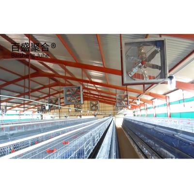 Cina Edificio di allevamento prefabbricato di pollame per polli di pollo di grande capacità con tetto a pannelli sandwich in vendita