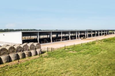 China Solução de edifícios leves Estrutura de estrutura de aço de grande envergadura à venda