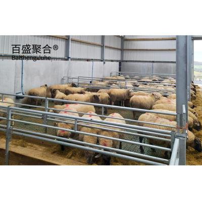 Cina PKPM Disegno Progettazione Rapida Costruzione Struttura in acciaio leggero Stalla di bovini, mucche, capre, pecore in vendita