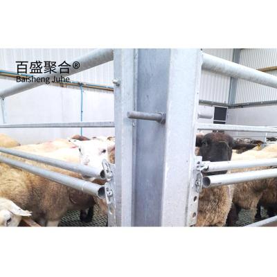 Cina Saldatura prefabbricata H travi Edificio struttura in acciaio per capre e pecore Stalle di allevamento di bovini e bovine in vendita