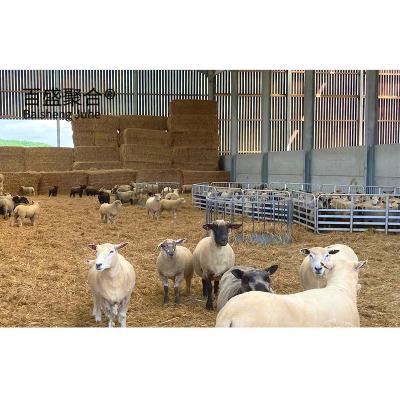 Cina Struttura in acciaio galvanizzata a caldo Capannone per animali con colori personalizzati e standard ASTM in vendita