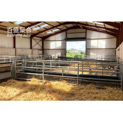 Cina Tracce di acciaio di grado H utilizzate nei fabbricati prefabbricati di allevamenti di bovini, ovini e polli in vendita
