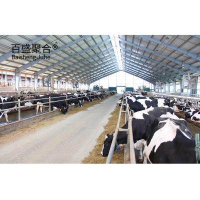 中国 効率的に設計された重重のプリファブリックされた牛の家/C.Z 形のパーリンを持つ牛の棚 販売のため