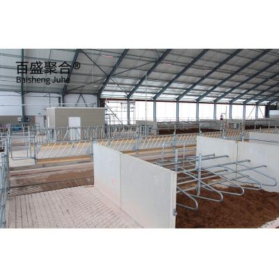 Cina Struttura in acciaio prefabbricata pesante capanno per mucche per MTS Disegno progettazione allevamento di bovini lattiero-caseari in vendita