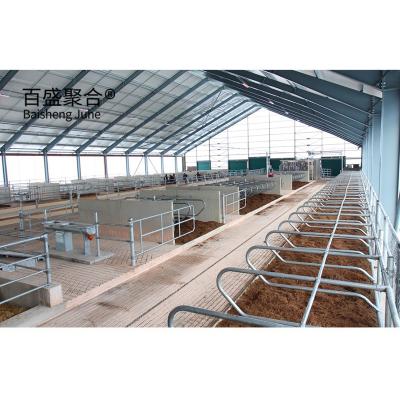 中国 オーダーメイド カラー メタルフレーム 鋼筋構造 牛 牛農場 プリファブ 牛棚 標準 ASTM 販売のため