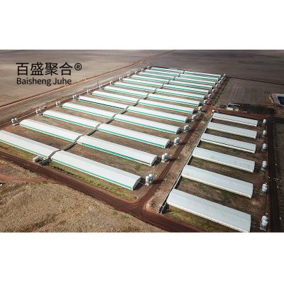 Cina Allevamento automatico di pollame Prefabbricato strato case da maiale con design e vetrina in lega di alluminio in vendita