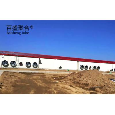 Cina Allevamento automatico di pollame Prefabbricato strato case da maiale con design e vetrina in lega di alluminio in vendita