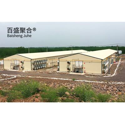 Cina Allevamento automatico di pollame Prefabbricato strato case da maiale con design e vetrina in lega di alluminio in vendita