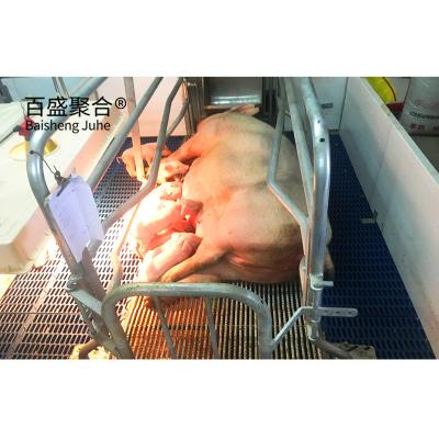 Cina Sistema di alimentazione per suini ad alta tolleranza per il sistema di alimentazione automatico nell'allevamento di suini in vendita