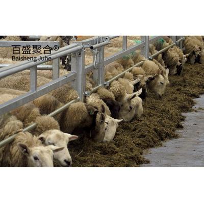 中国 ASTM標準軽鋼構造 Goat House 設計されたプリファブ 農場 羊 羊 鉄棚 販売のため
