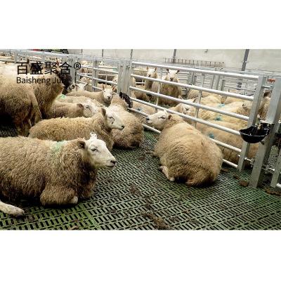 Cina Struttura in acciaio prefabbricata di vetro in lega di alluminio per allevamenti di pecore e capre in vendita