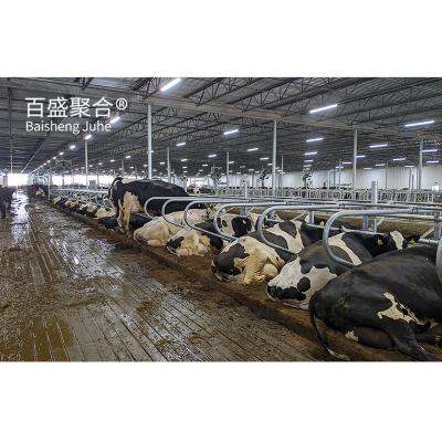 Cina AiSi Standard Prefabricated Steel Structure Cowshed per allevamenti bovini e lattiero-caseari Certificato in vendita