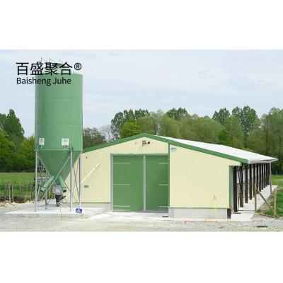 Cina Colori personalizzati di progettazione commercialità Broiler Chicken Cages con alimentazione automatica di pollame in vendita