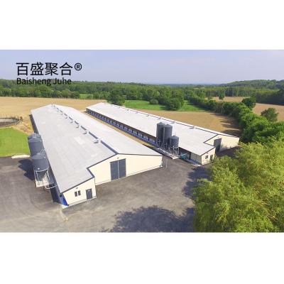Cina Tolleranza elevata gabbia di pollo a uno strato per 1000-10000 galline ovaiole nell'allevamento dell'acciaio in vendita