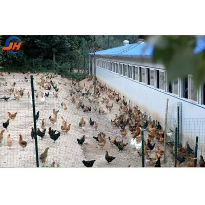 Cina Purlin C.Z forma canale in acciaio struttura in acciaio pollaio per l'allevamento di pollame in vendita