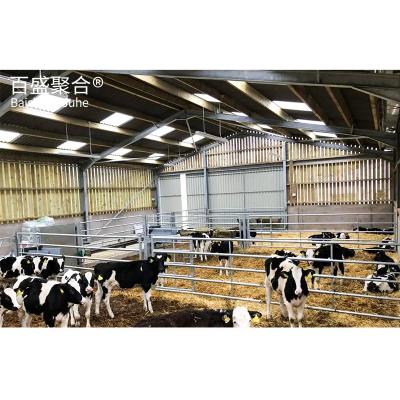 Cina Progettazione di edifici prefabbricati per allevamenti di bovini in vendita