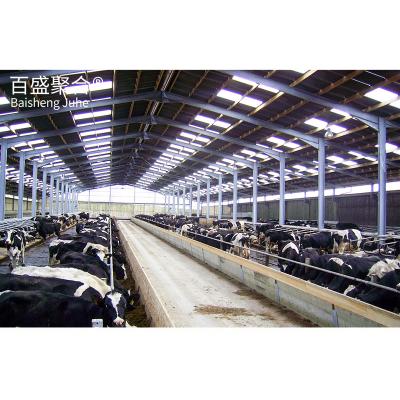 Cina Progettazione di edifici prefabbricati per allevamenti di bovini in vendita
