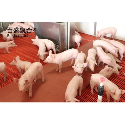 Cina Fermata prefabbricata con vetrina in lega di alluminio in vendita