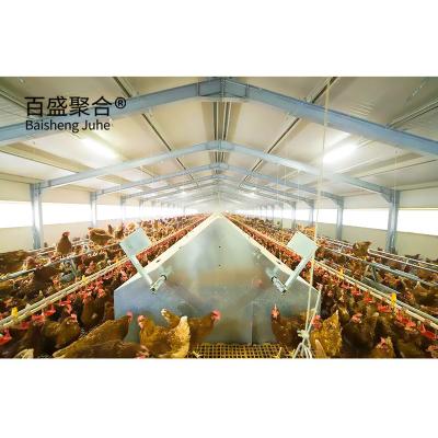 Cina ISO9001 2008/CE/BV Certificate Steel Frame Chicken Farm for Open Side Poultry Shed Tipo in vendita