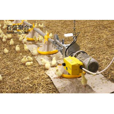 Cina ISO9001 2008/CE/BV Certificate Steel Frame Chicken Farm for Open Side Poultry Shed Tipo in vendita