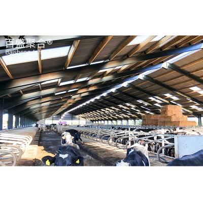 Cina Struttura in acciaio personalizzabile per l'allevamento lattiero-caseario, galvanizzata a caldo e spruzzata con vernice in vendita