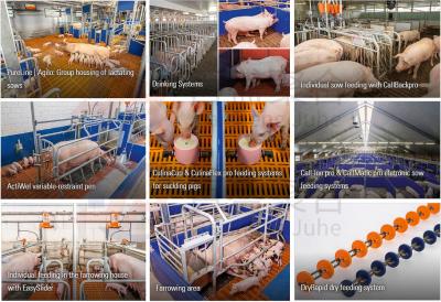 Cina Porta scorrevole porta a rulli per la costruzione di allevamenti bovini e allevamenti suini in vendita