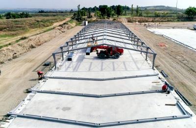 Cina Custom Colors Steel Structures for Horse Stall Barn Plans at Prefab Poultry Farm (Strutture in acciaio a colori personalizzati per cavalli e stalle) in vendita