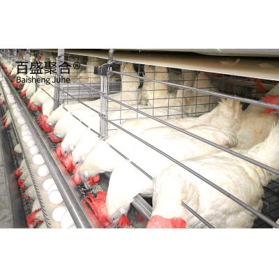 Cina Custom Colors Steel Structures for Horse Stall Barn Plans at Prefab Poultry Farm (Strutture in acciaio a colori personalizzati per cavalli e stalle) in vendita