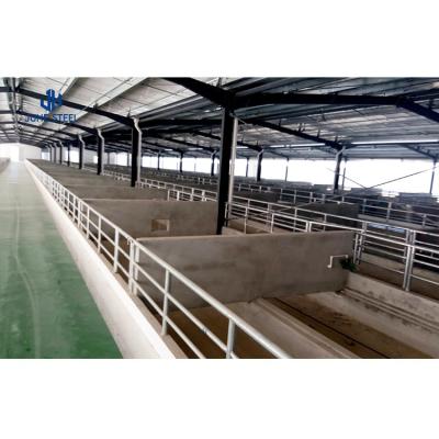 Cina Tubo rotondo rivestito di plastica Cornice principale Rifugio prefabbricato per bestiame per bovini Cavalli pecore in vendita