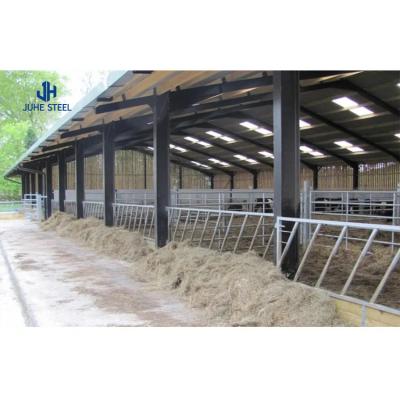 Cina Campo di applicazione Impianto di lavoro Agricoltura Ovini Agriturismo Capannone con telaio strutturale in acciaio in vendita