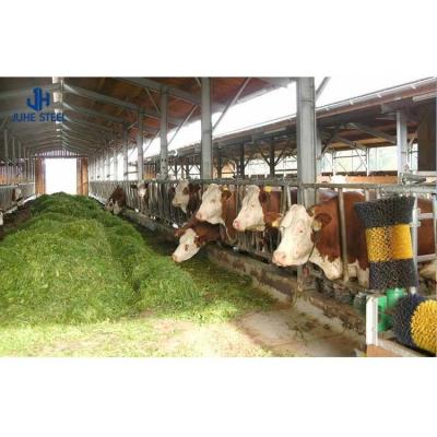 Cina Cornice in acciaio leggero capannone prefabbricato per allevamenti di bovini da latte con pannello sandwich e finestra in PVC in vendita