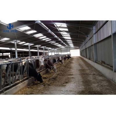 Cina Cornice in acciaio leggero capannone prefabbricato per allevamenti di bovini da latte con pannello sandwich e finestra in PVC in vendita