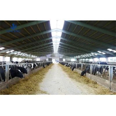 Cina 2-10m di altezza struttura in acciaio capanno di mucca magazzino prefabbricato edificio con tubo da 48 mm in vendita